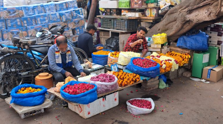 Delhi | bezienswaardigheden | Veelzijdig India
